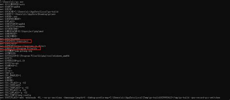 Beego学习———安装bee Csdn博客
