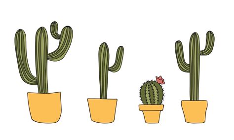 Conjunto Vectorial De Coloridas Plantas De Cactus En Macetas De Colores