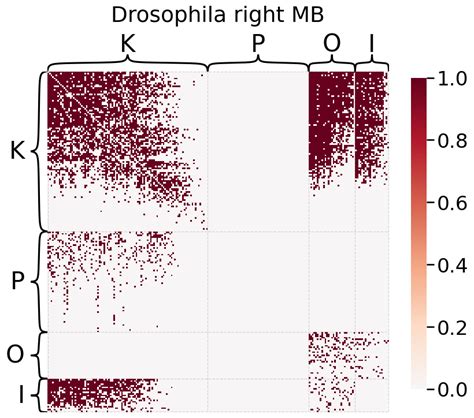 Random Graph Models — Graspologic 000 Documentation