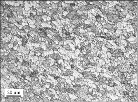 Microstructure Of Flowformed And Annealed Case Sample B1 Download