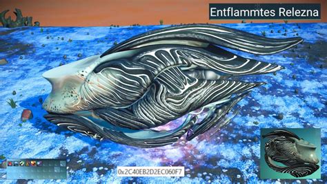 NMS LivingShipLibrary