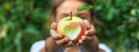 Beneficios De La Manzana Dietas Sanas