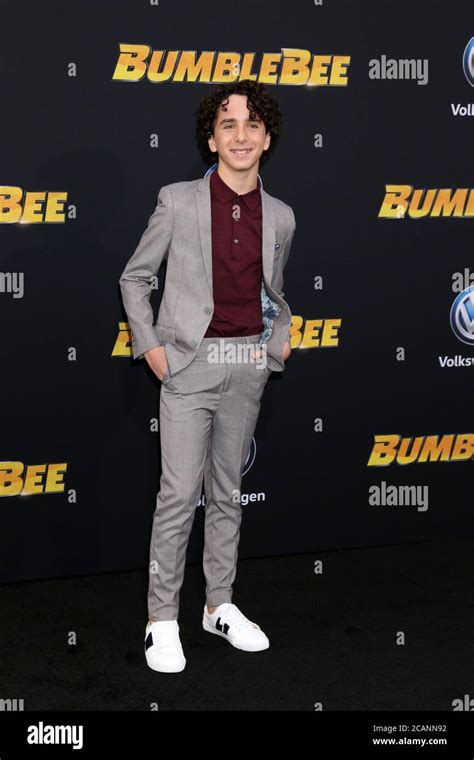 Los Angeles Dec 9 Jason Drucker At The Bumblebee World Premiere At