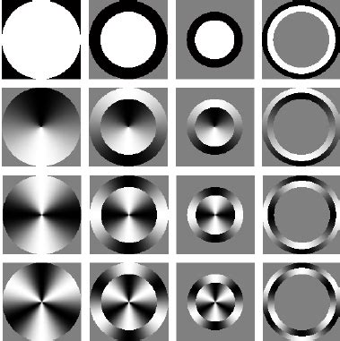 Orthonormal Basis Functions In The Unit Disk Download Scientific Diagram
