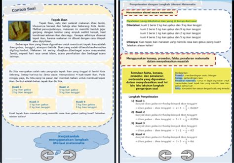 A Sample Problems B Steps To Solve With Literacy Mathematic