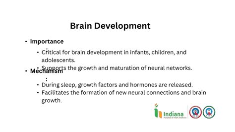 Ppt Sleep And The Brain How Restorative Sleep Fuels Cognitive Health Powerpoint Presentation
