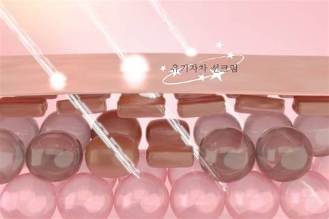 무기자차 유기자차 혼합자차 차이점 각 타입별 선크림 추천까지 모아봤어요 네이버 블로그