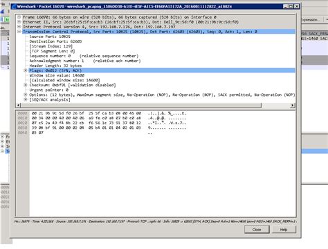 Sockets Java Tcp Messaging Not Working But Net Version Does Stack