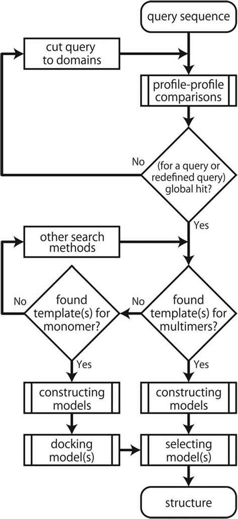 Fig Ure 1 Schematic Showing Our Prediction Procedure Download Scientific Diagram