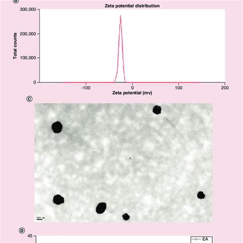 Physicochemical Characterization Physicochemical And Solid State