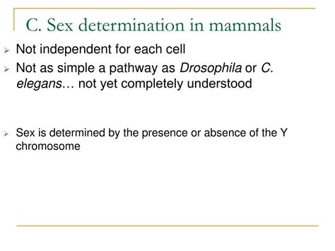 PPT Genetics Of Sex PowerPoint Presentation Free Download ID