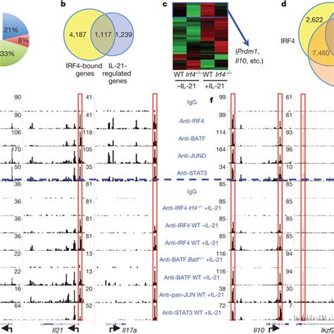 Preferential Irf4 Binding To Ap1 Motifs In T Cells A E Irf4 Motifs In Download Scientific