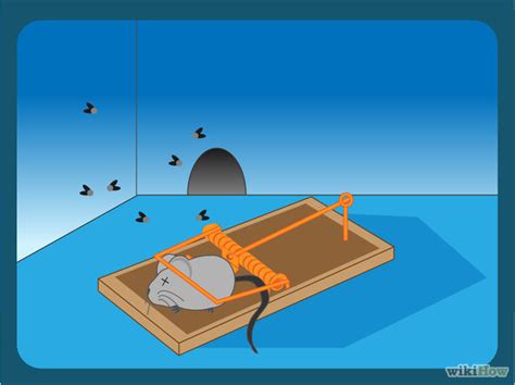 How To Catch A Mouse 14 Steps With Pictures WikiHow