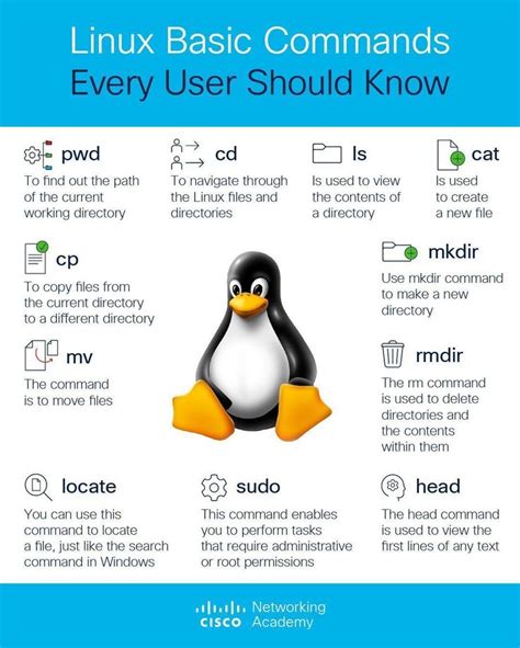 letsdefend on linkedin linux basic commands 34 comments linux