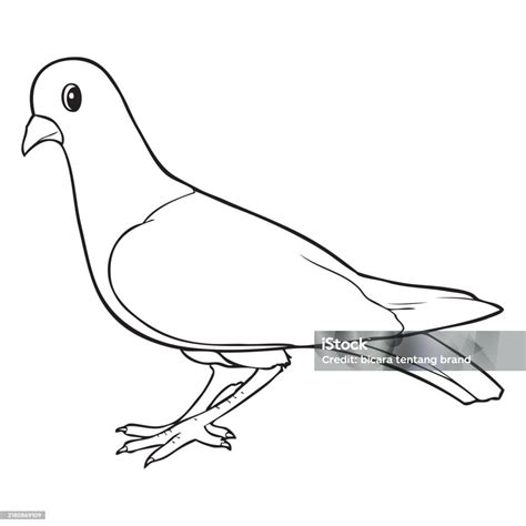 Bird Sketch Vector Illustration Stock Illustration Download Image Now