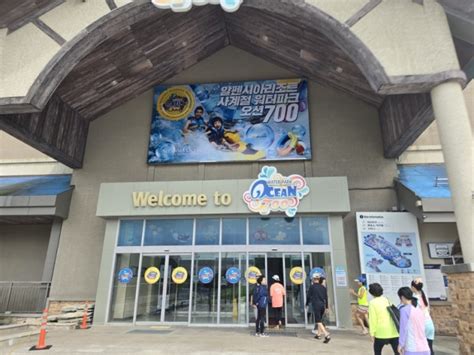 평창 알펜시아 워터파크 오션700 시간 요금 이용팁 네이버 블로그
