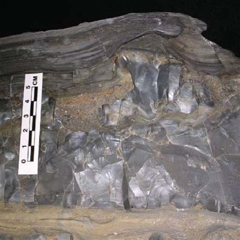 Kettle Point Chert Type Specimen Note The Conodont Hash At The Top Download Scientific