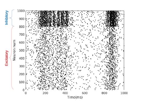 Rhythmic Spiking Activities Evident From The Raster Plot As Synaptic