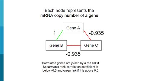 Network Inference Flow Niflow A Python Toolbox For Network Inference Built On Top Of