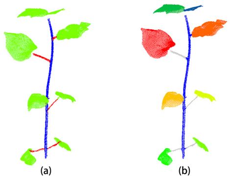 Agronomy Free Full Text Organ Segmentation And Phenotypic Trait Extraction Of Cotton