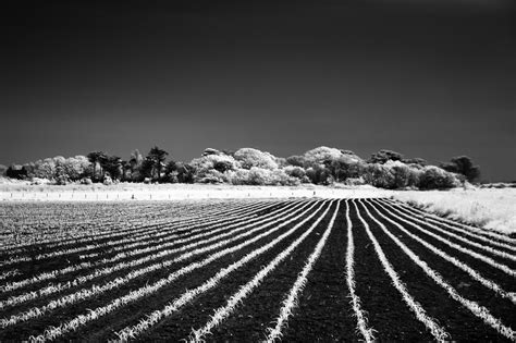 Monochrome on Behance