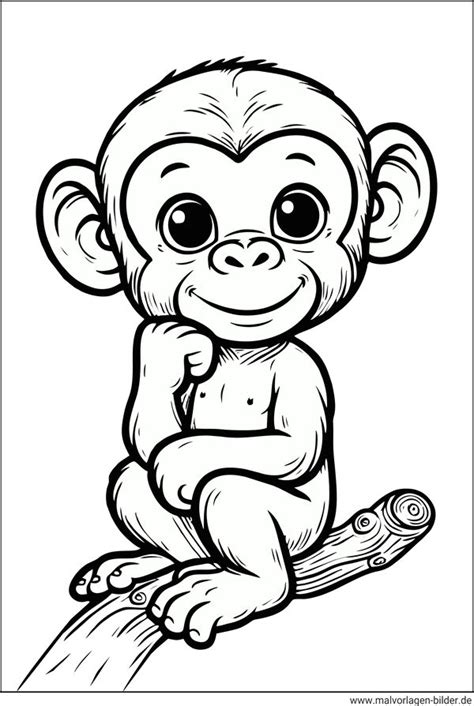 Kleiner Affe Ausmalbild Für Kinder