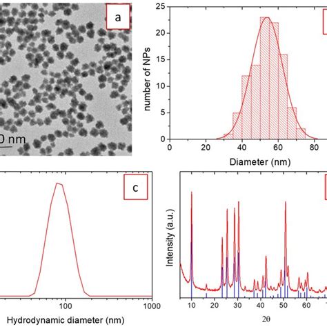 tem micrograph a particle size distribution from tem b dynamic