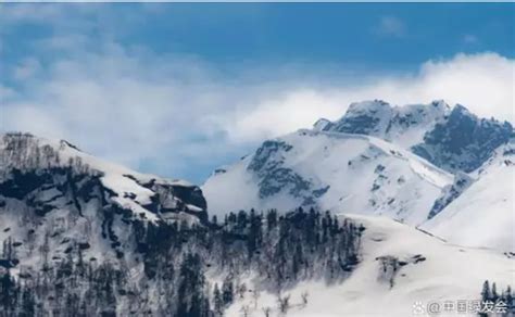 做得更好：从实地和基于自然的解决方案应用于经验教训中剖析证据 知乎