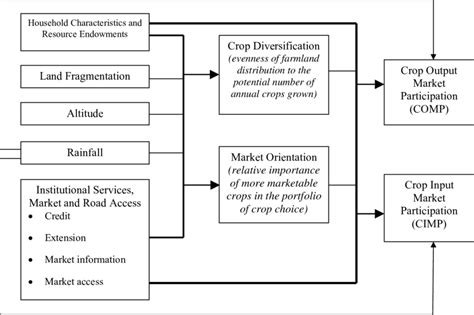 Conceptual Framework Of Household Level Crop Diversification Market Download Scientific