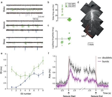 Classification Of Action Potentials Of Tc And Nrt Neurons A Example
