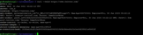 unrealistic ping results and incorrect down time · issue 96
