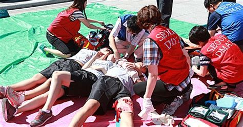 2013년 현장응급의료소 설치 및 운영훈련