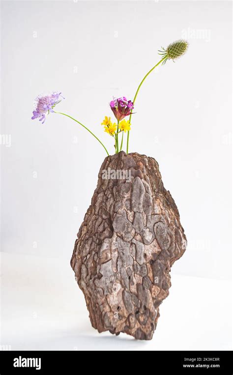 Abstract Nature Scene With Composition Of Tree Bark And Delicate Wildflowers Stock Photo Alamy