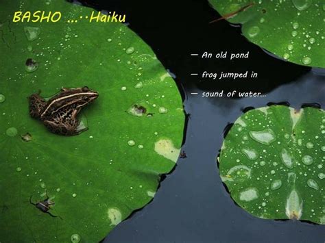 Basho Haiku Explained