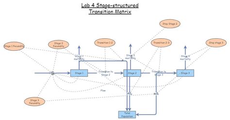 Lab 4 Stage Strucutured Transition Matrix Insight Maker