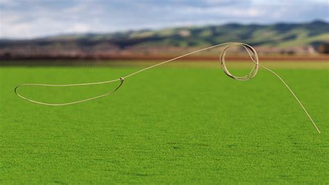 Lasso Rope For Catching Animals Flying Model Turbosquid 2161837