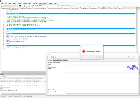 Bug Flash Debug Internal Debugger Exception · Issue 1898 · Fdorg