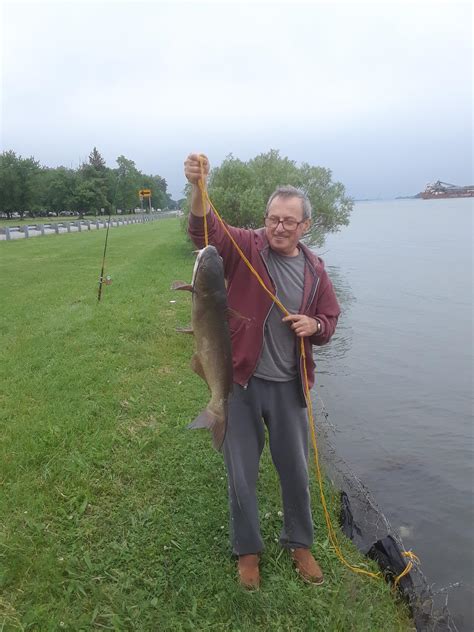 Catfish I Caught Yesterday Rfishing