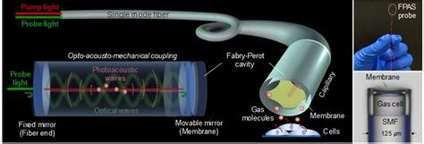 Miniaturized All Fiber Photoacoustic Spectrometer For Intravascular Gas Detection
