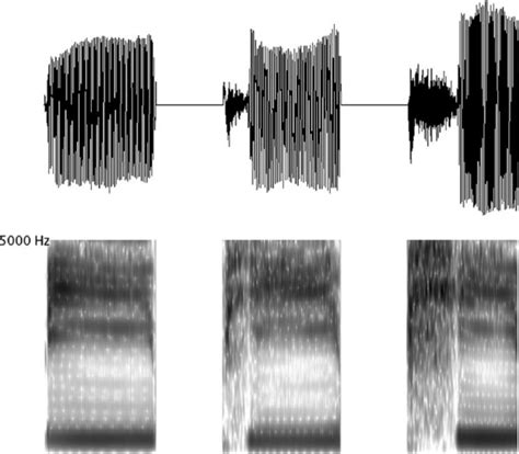 Spectrograms Of Three Syllables Differing In The First Consonant From