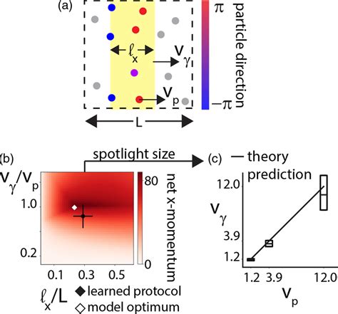 Weak Coupling Protocol Can Be Interpreted As A Purification Process Download Scientific