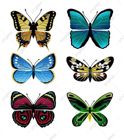 화려한 날개를 가진 나비 종류 컬렉션 과 열렬한 하얀 Png 일러스트 및 벡터 에 대한 무료 다운로드 Pngtree