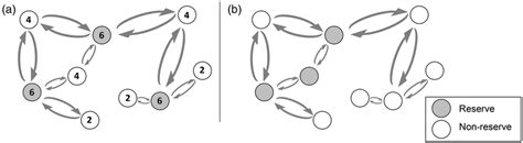Network Of Hypothetical Reefs Circles Connected By Incoming And