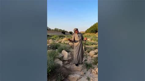 الزعاق الحي يحييك والميت يزيدك غبن Youtube