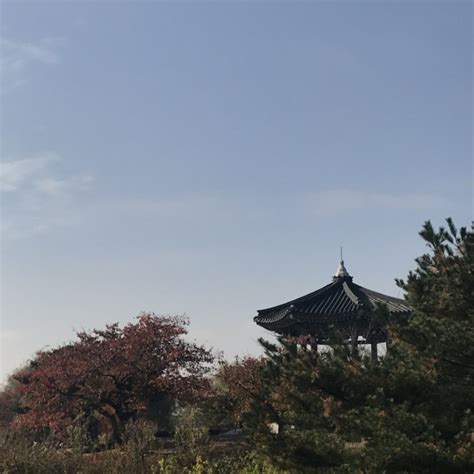 막 찍은 사진이라도 예술이 되는 우리나라 한국 감성 한국 분위기 사진 16탄 인스티즈 Instiz 이슈 카테고리