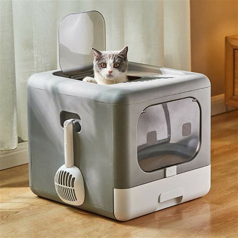 The 13 Best Cat Litter Boxes Of 2023 Tested And Reviewed
