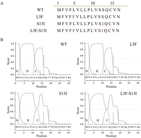 Signal Peptide Comparison Of Sars Cov 2 Spike Protein A Signal Download Scientific Diagram
