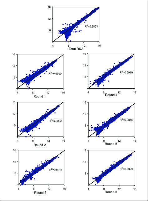 reproducibility of rna amplification with t3n9 self versus self