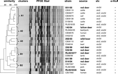dendrogram based on pfge patterns of stec o113 h21 strains tables 3
