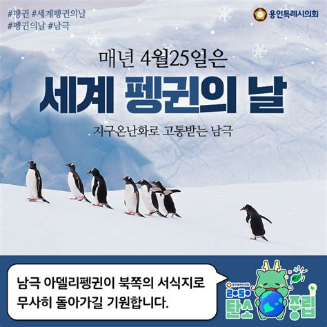 용인특례시의회 매년 4월25일은 세계 펭귄의 날 🐧🐧 미국 맥머도 남극관측기지에서 지구온난화와